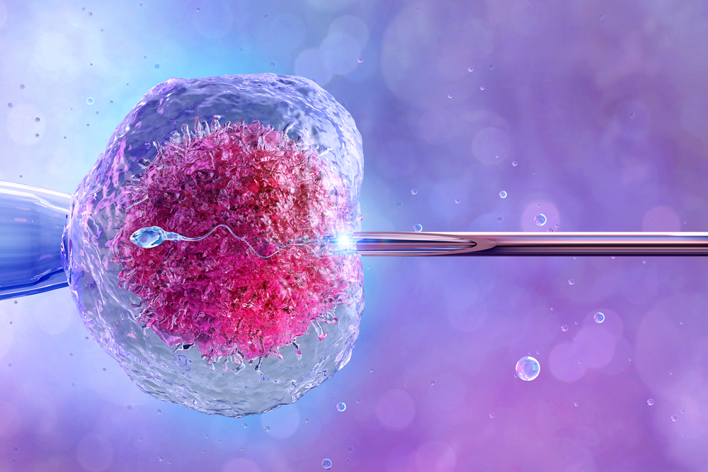 Qual a diferença entre FIV e inseminação artificial? - Clínica Pronatus